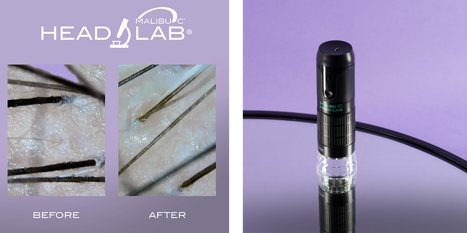 Malibu C Head Lab Live Webinar - Dateline Imports